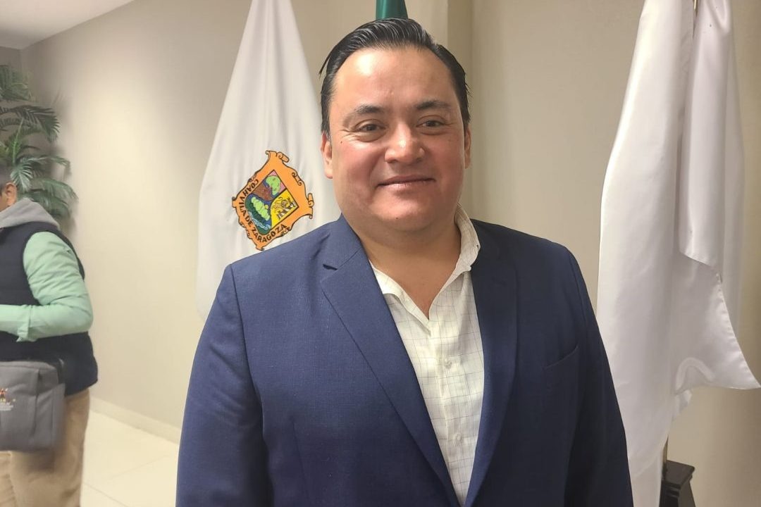 EL PINO LÁPIZ 2026: EL ÁRBOL PERFECTO PARA UN ALCALDE SIN LUZ, SIN ...